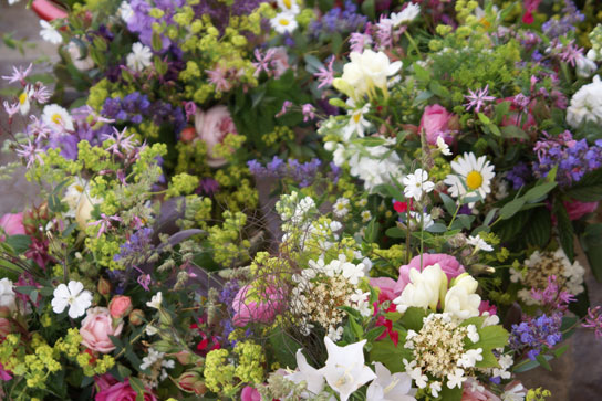 Flower Season | Traditional Flower Company